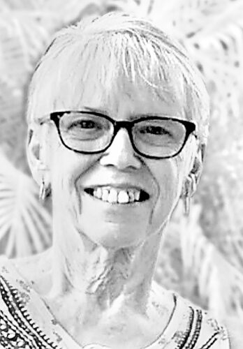 DIANE PINDILLI | News, Sports, Jobs - The Herald Star